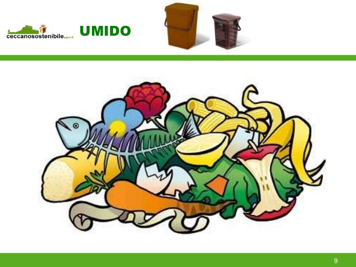 Raccolta rifiuti porta a porta, al via il calendario estivo. Ritiro ...