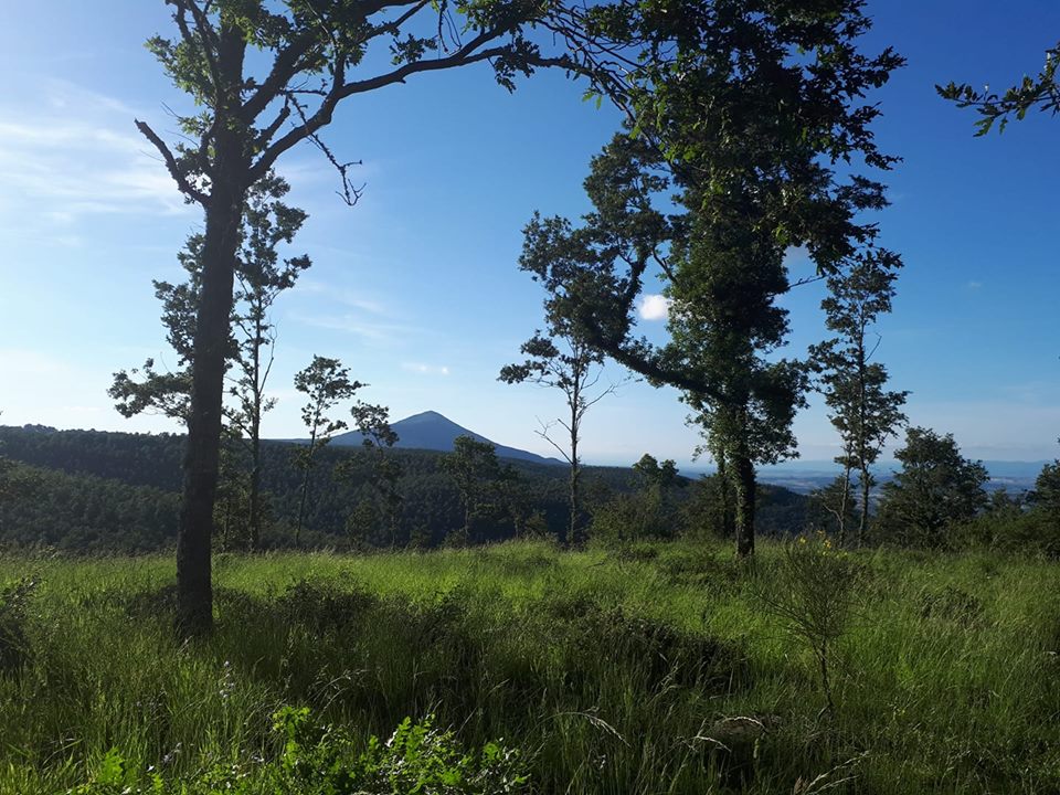 “Allerona Petit Tour”, escursione sul crinale”umbro e tosco”: da ...