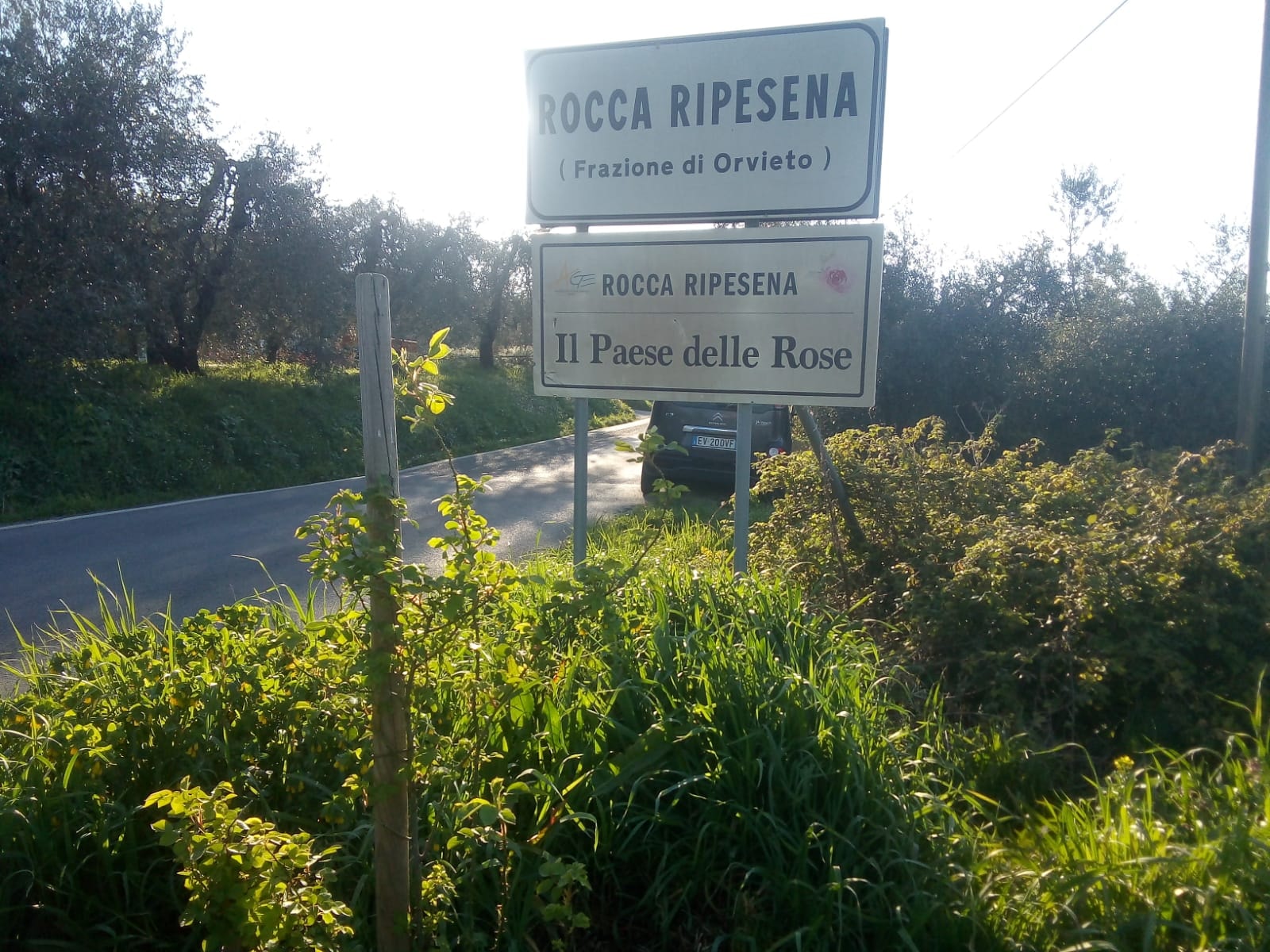 Il Paese delle Rose ospita la seconda edizione di "Per esserci ...