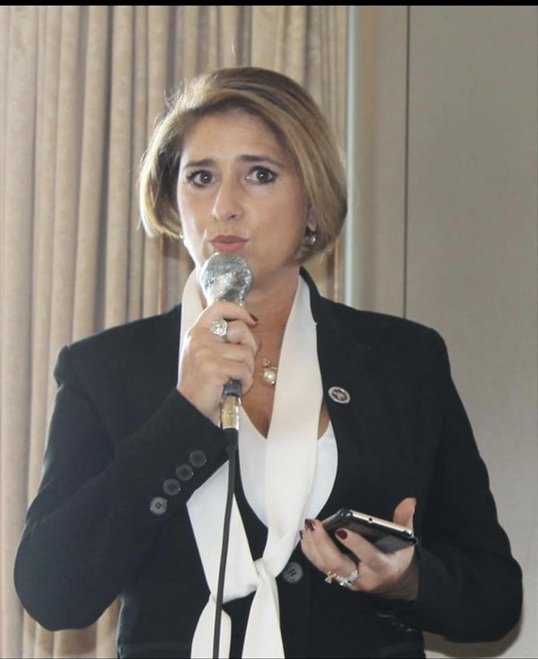 E' Francesca Compagnucci la nuova Presidente della FIDAPA BPW Italy di ...
